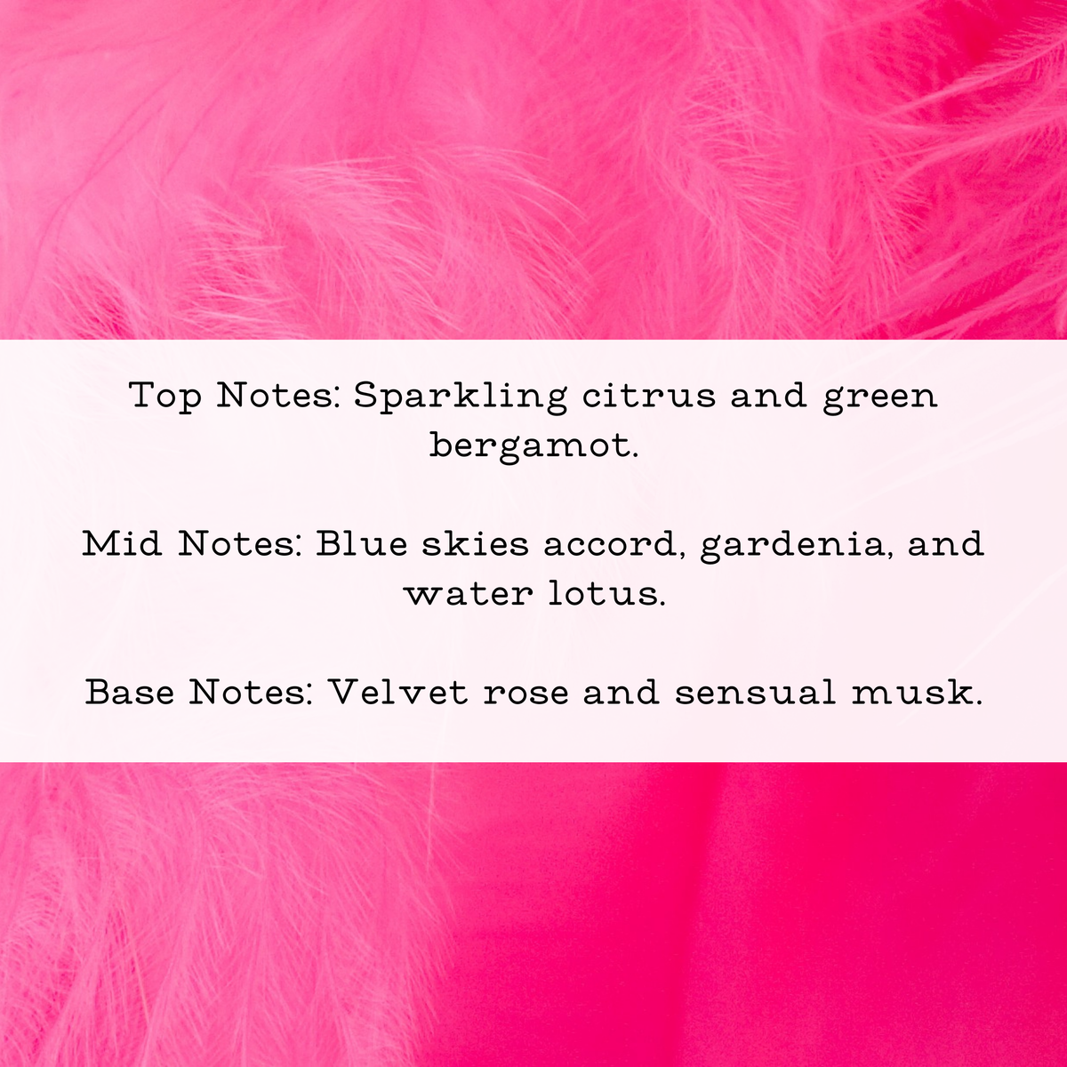 PINK PERFUME | ARTISAN HANDMADE PERFUME MADE FRESH ON DEMAND | Our ...