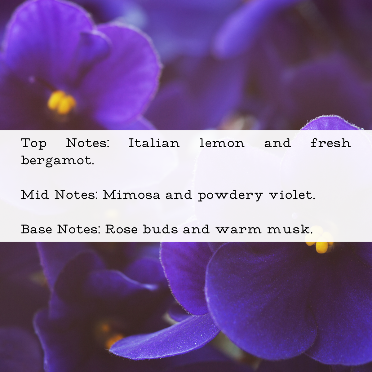 VIOLET PERFUME | ARTISAN HANDMADE PERFUME MADE FRESH ON DEMAND | Eau de ...